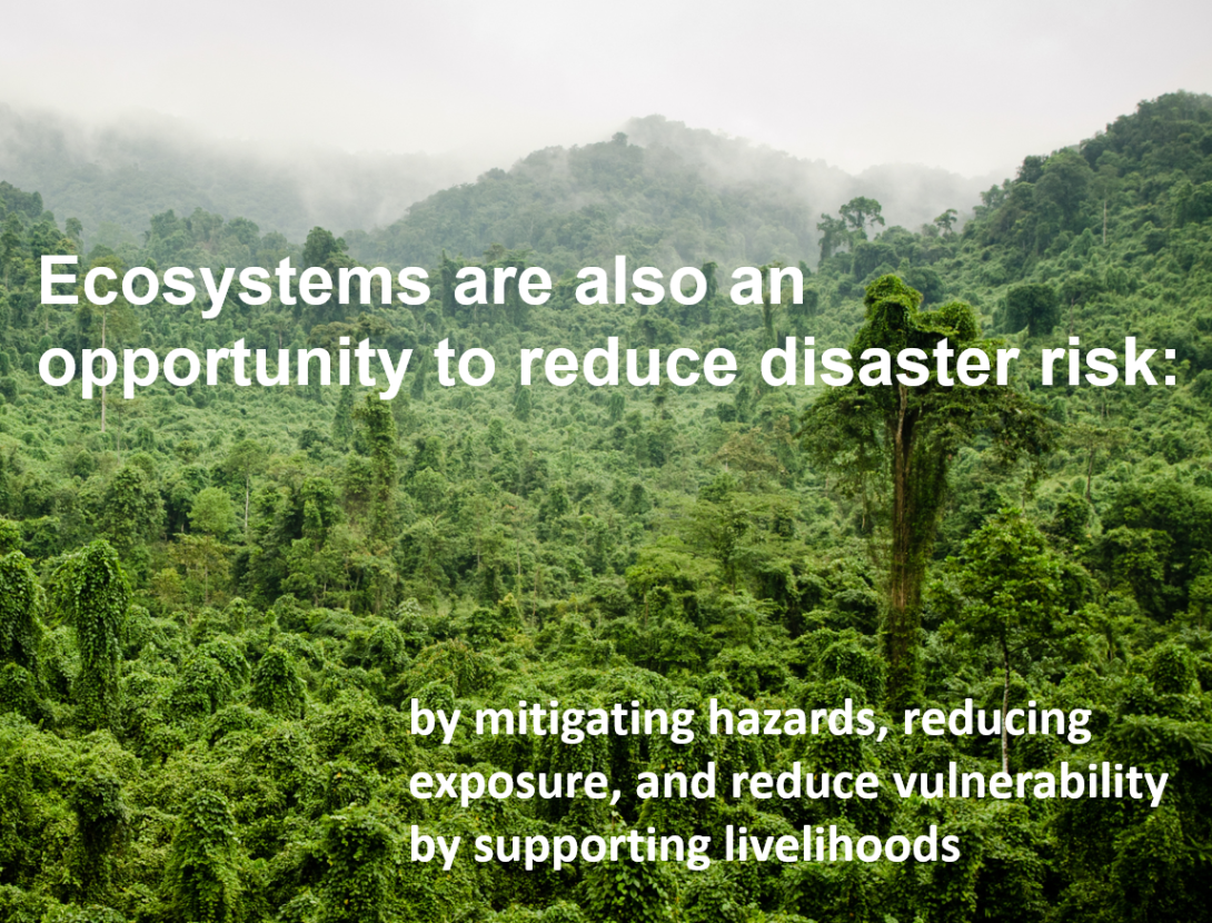 Home Opportunity Mapping